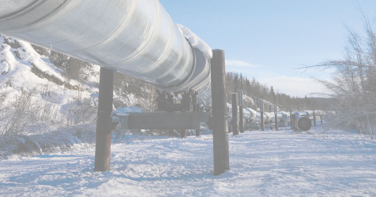 Litigating and Liaising