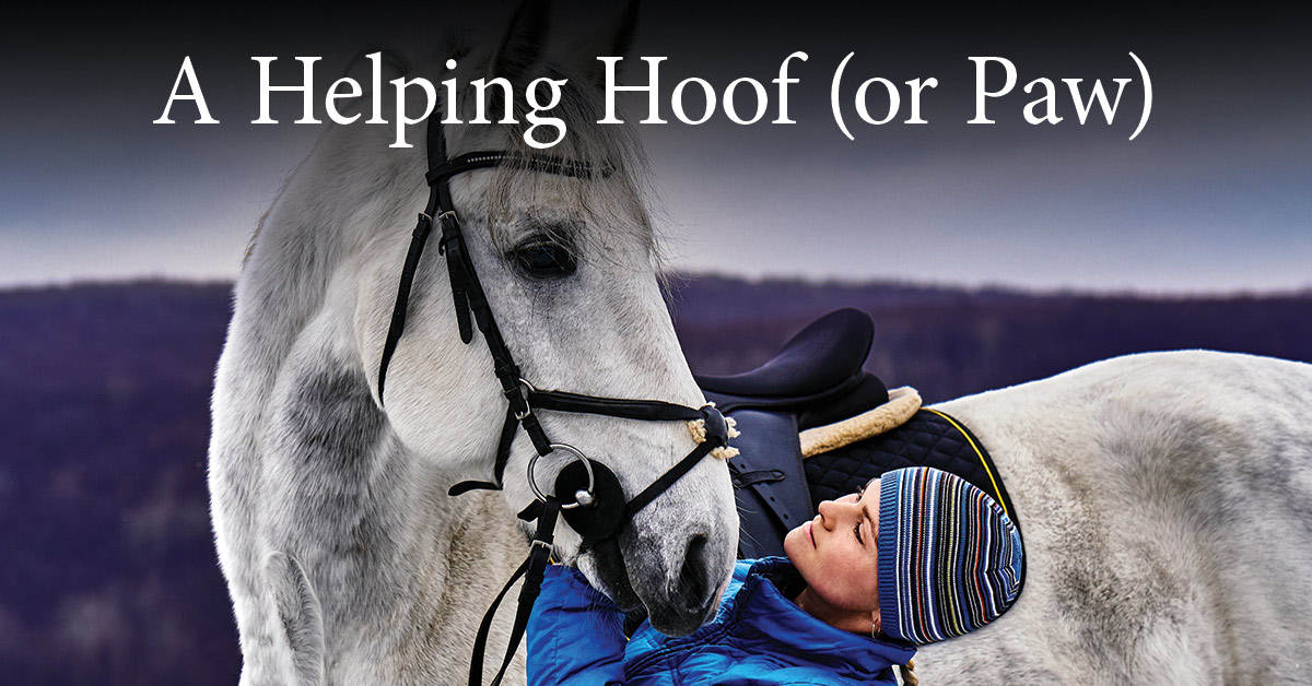A Helping Hoof (or Paw)