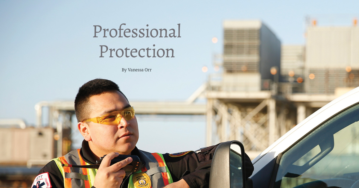 Professional Protection