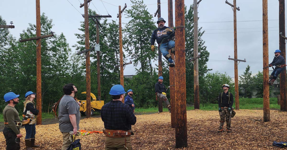 Calling All Apprentices