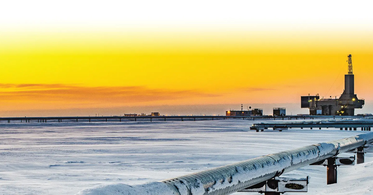 From Survival to Revival