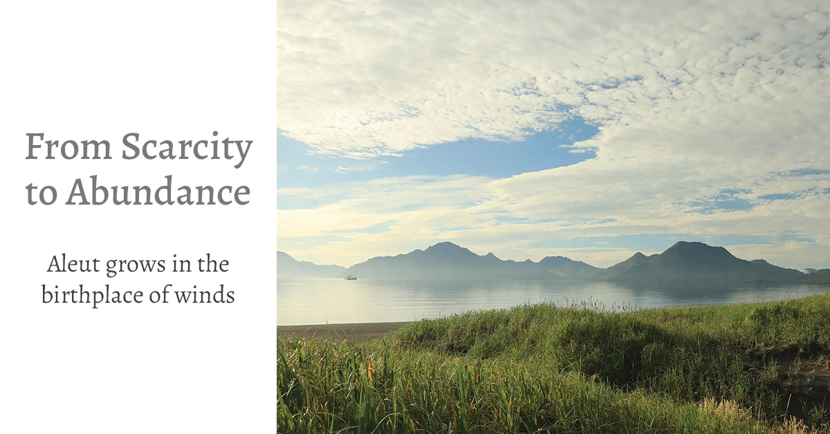 From Scarcity to Abundance